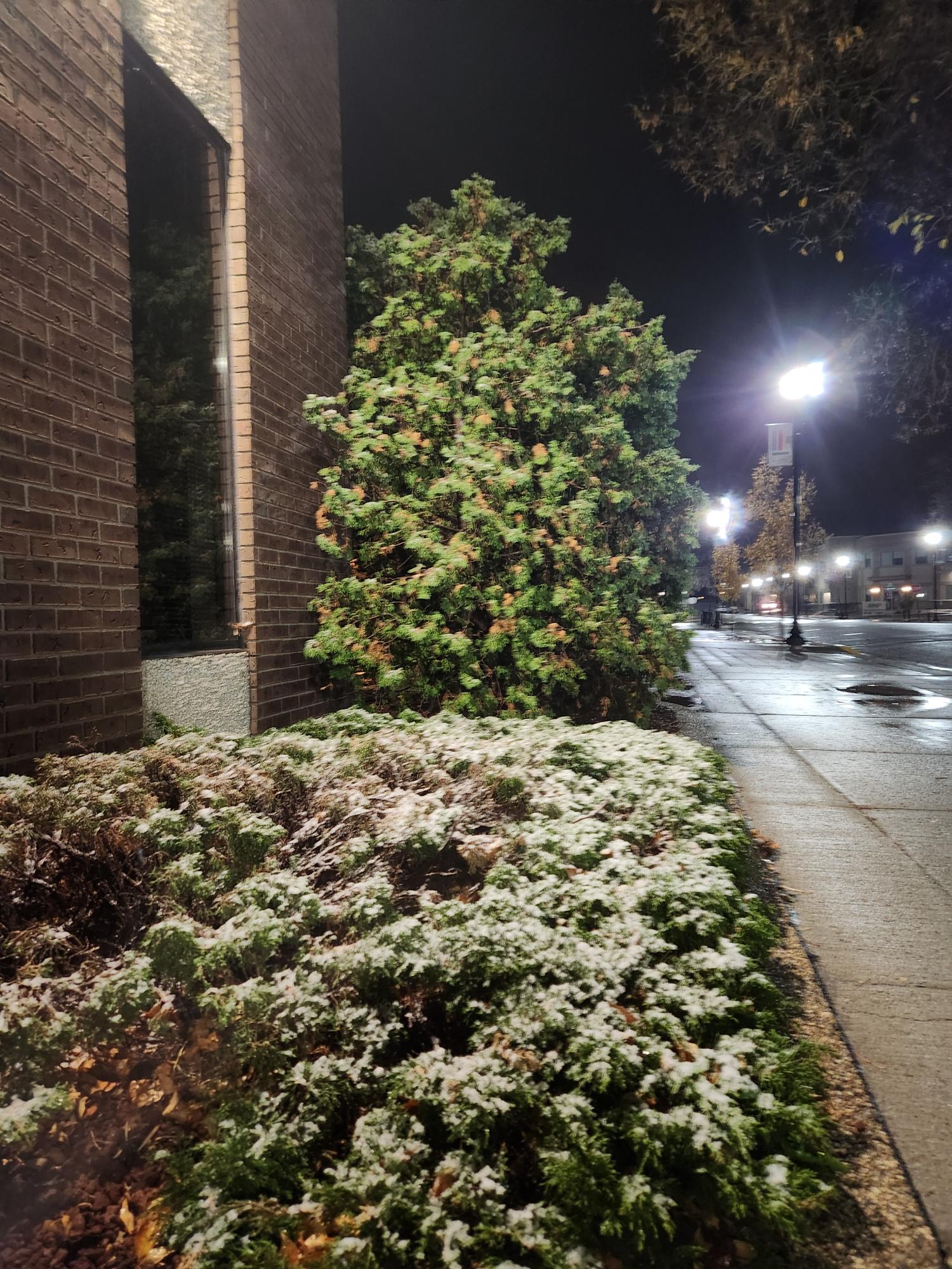 Snow makes its first appearance for the year in Swift Current ...