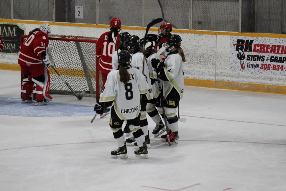 Mixed results for Weyburn hockey teams this weekend - DiscoverWeyburn ...