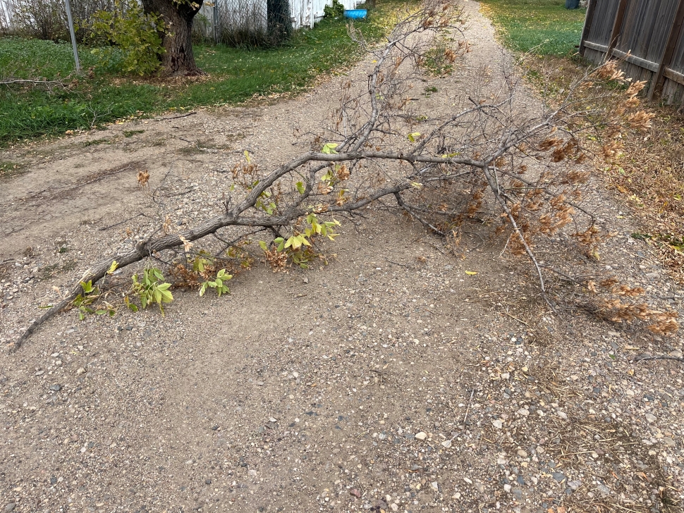 Damage from extreme wind gusts results in 15 claims in southeast ...