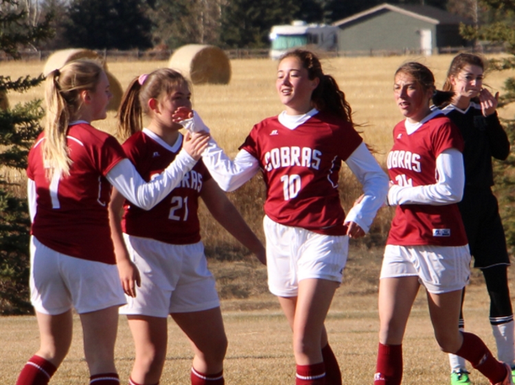 Cochrane Cobras advance to semifinals - CochraneNow: Cochrane, Alberta ...