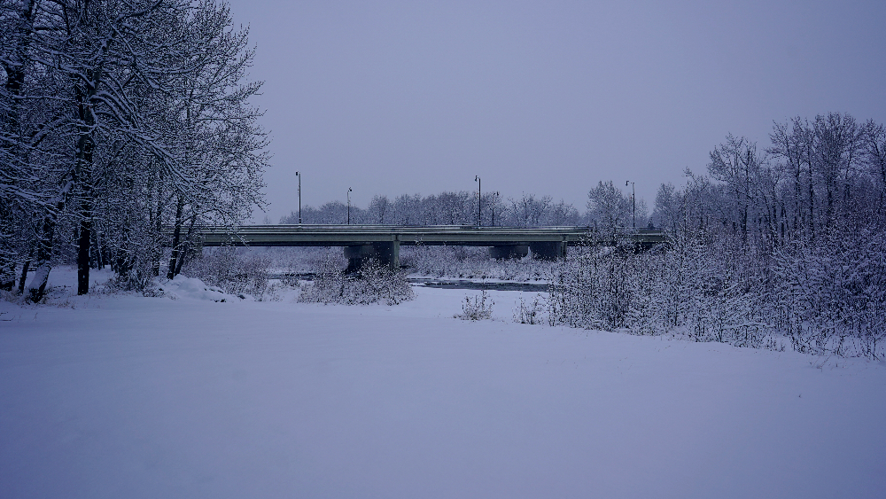 Some areas of Southern Alberta are under a Snowfall Warning ...