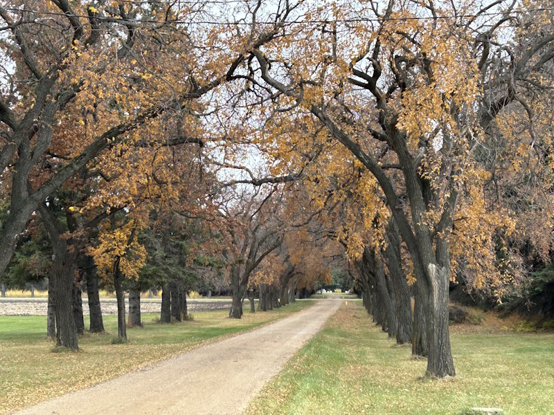 Relatively calm weather turning from October to November ...