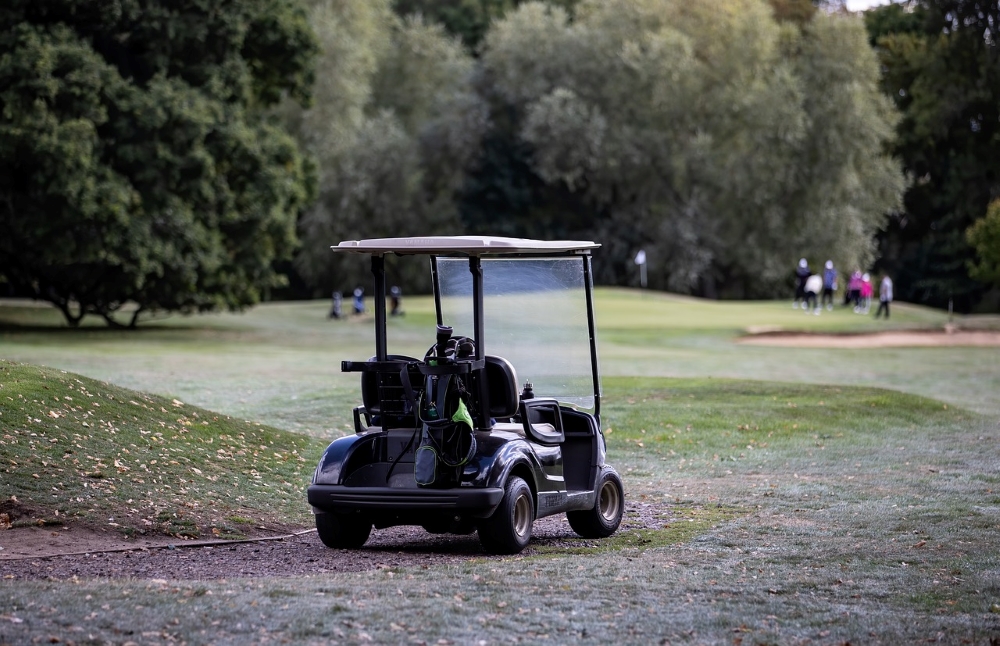 Golf carts could legally be driving down an Alberta street near you ...