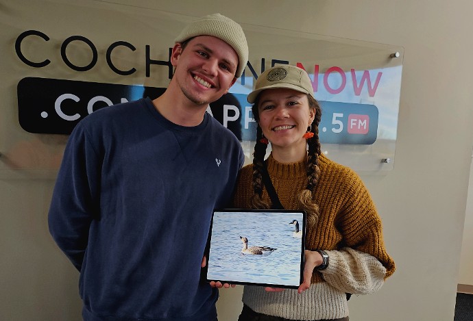 One of North America's rarest birds found in Cochrane - CochraneNow ...