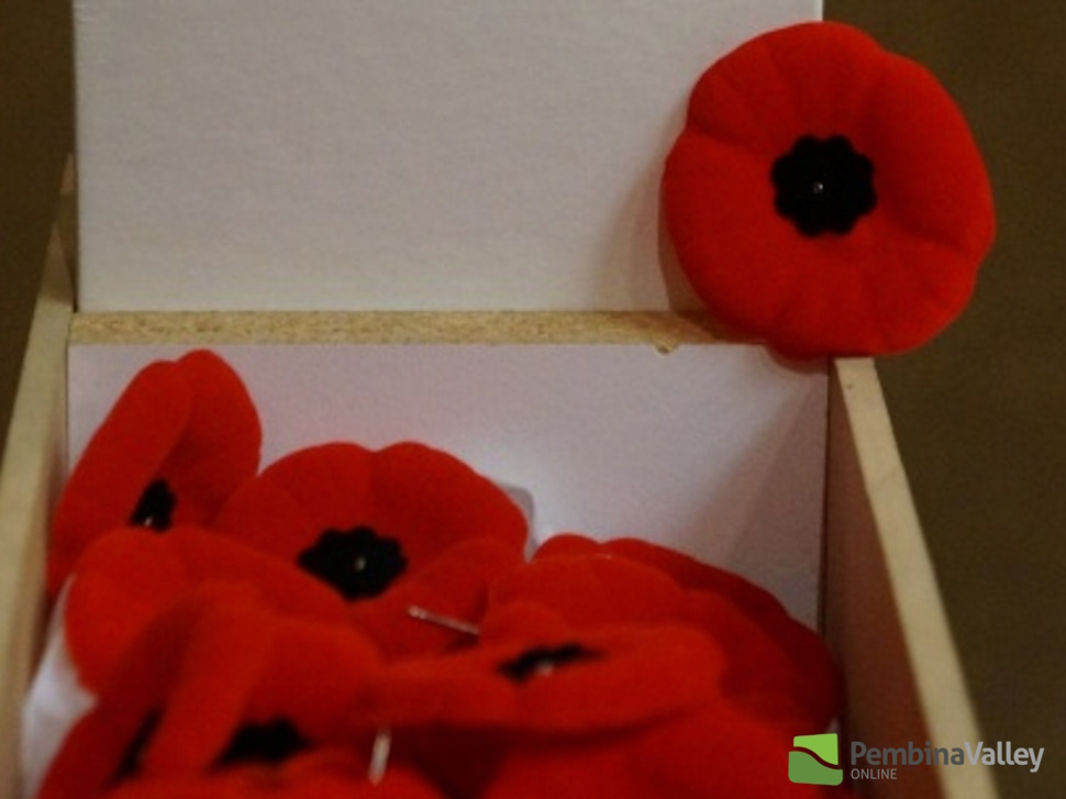 Legion Launches Poppy Campaign Honouring Canada’s Fallen Heroes ...