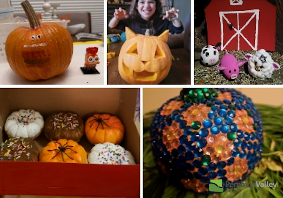 Gourd-geous creations: A look back at our pumpkin decorating contest ...