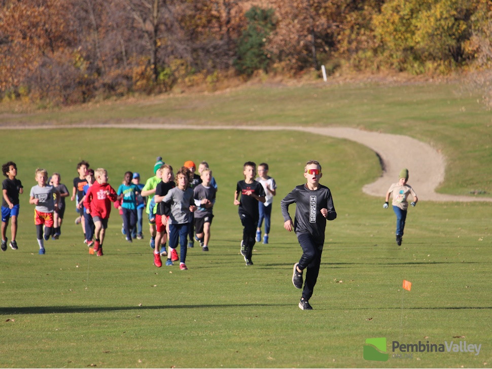 Ready, Set, Go! Annual cross-country race for children taking off ...