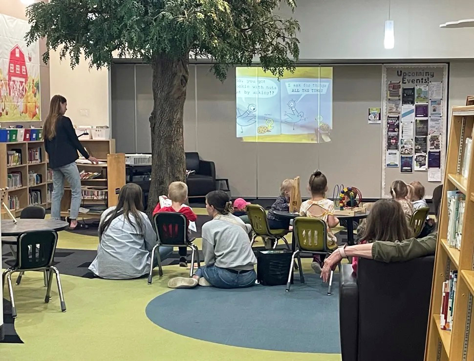 City council supports regional library plan for southeastern Manitoba ...