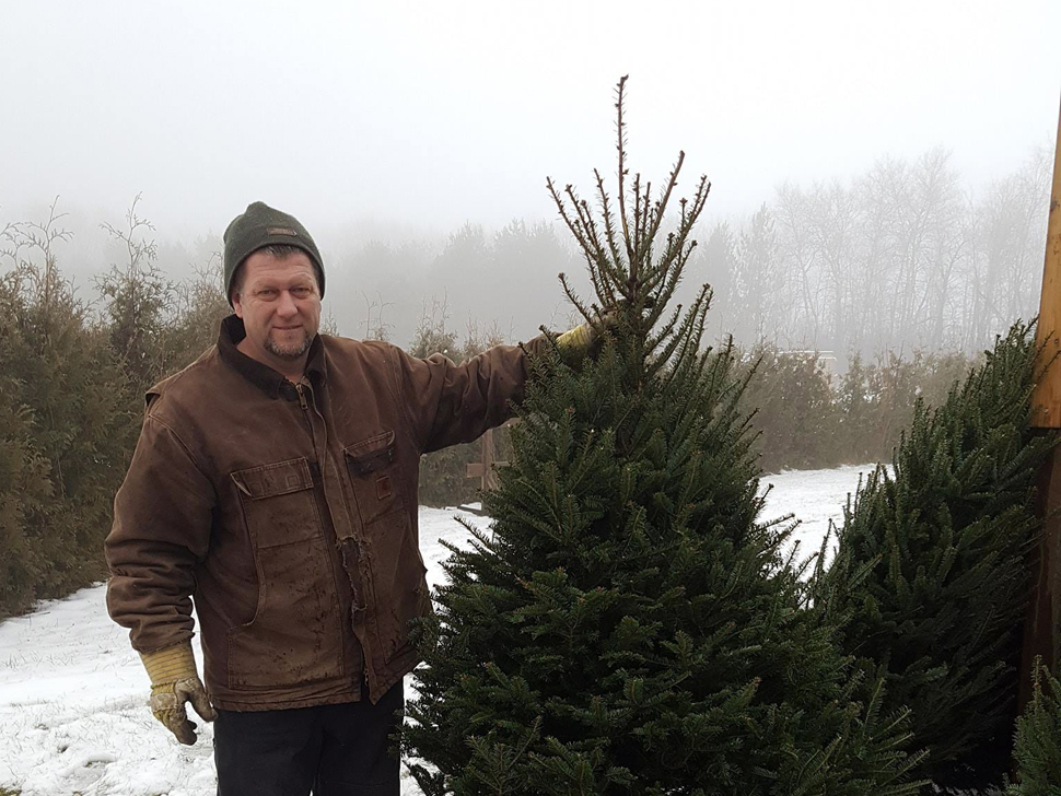 Timber Trails Tree Farm closes after 40 years of holiday traditions in ...
