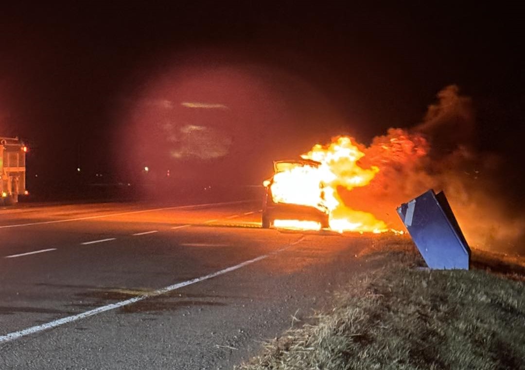 'So much support from the community': Local animal rescue grateful ...