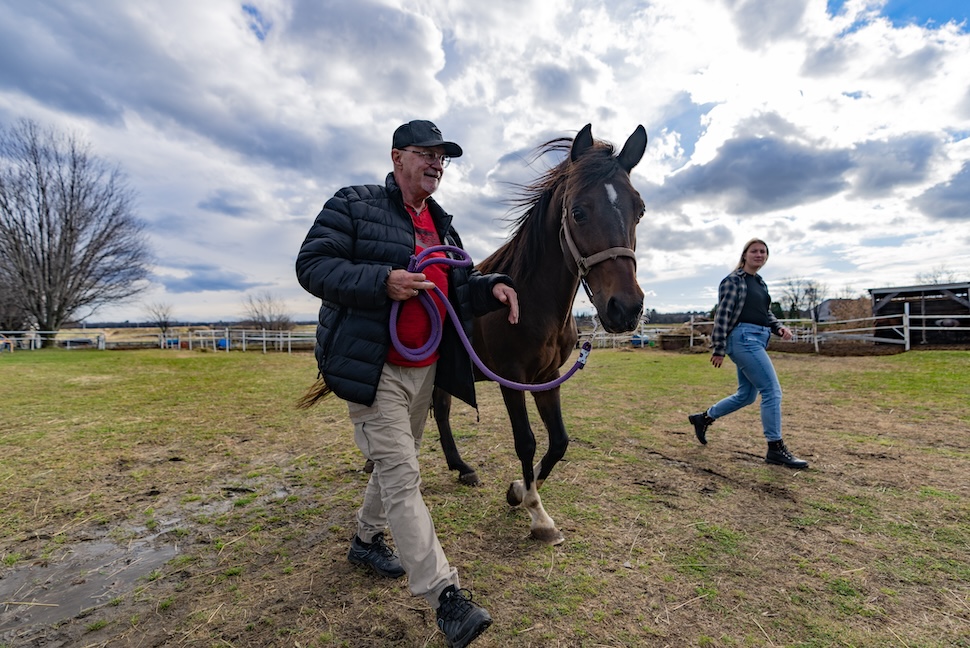 Canadian Army veterans traumatized from service connect with horses in ...