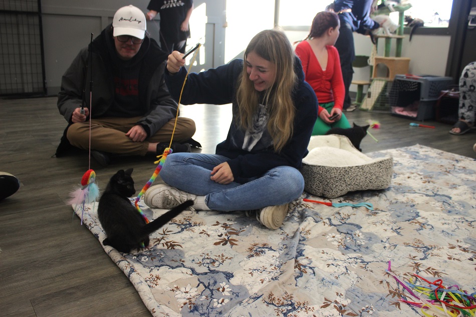 One hundred people arrive at Cat Cafe to visit furry friends ...