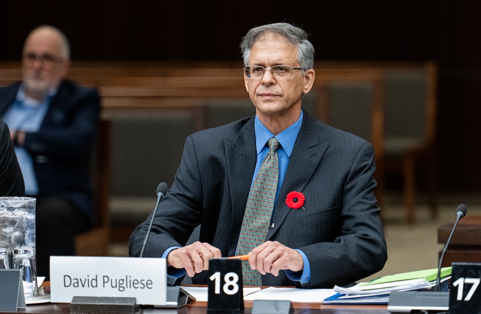 Reporter accused of being Russian spy tells MPs they fell for ...