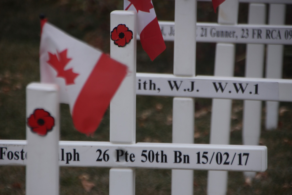 What is the significance behind the poppy? - StrathmoreNow.com - Local ...