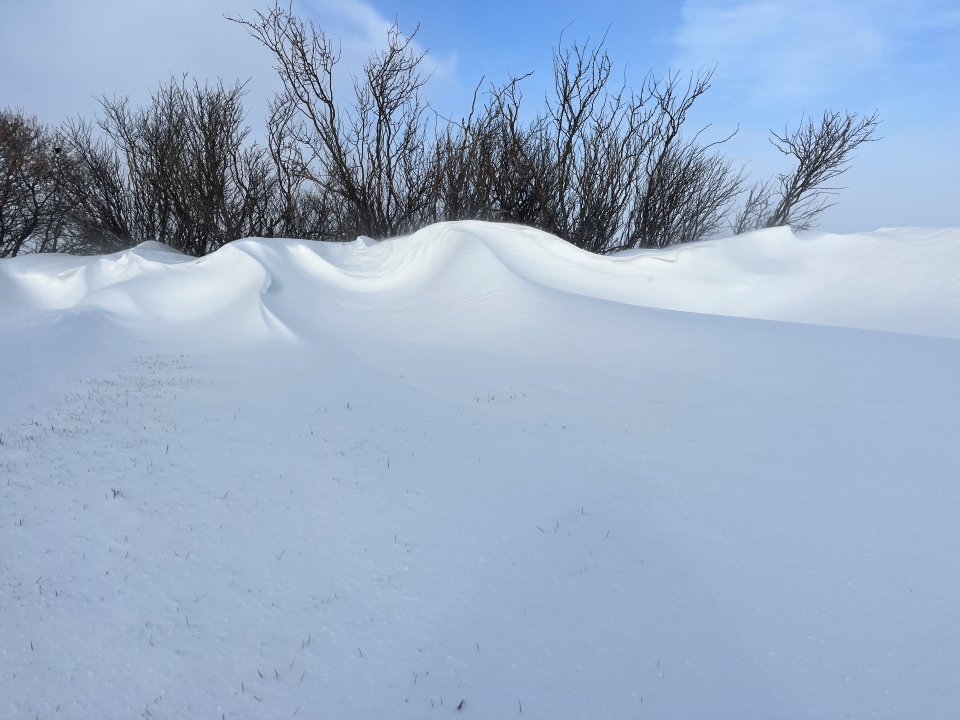 Area producers pleased with snowfall so far this winter ...