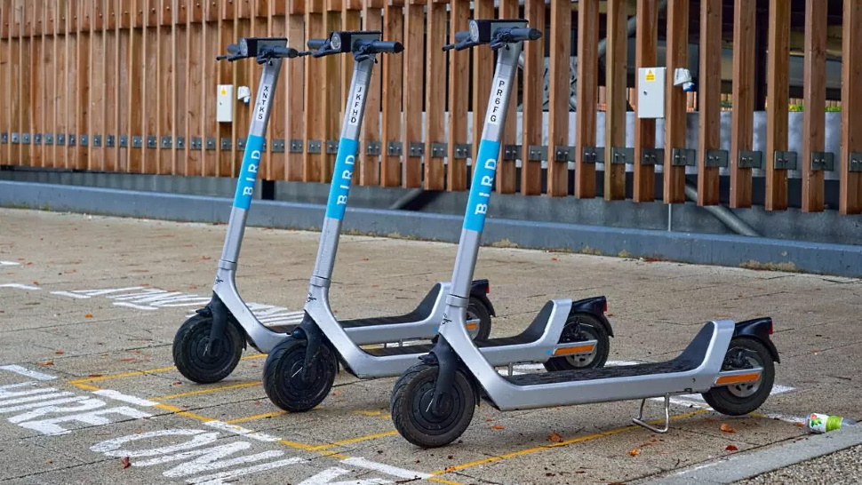 Bird e-scooters ridden enough in Airdrie to travel around the world ...
