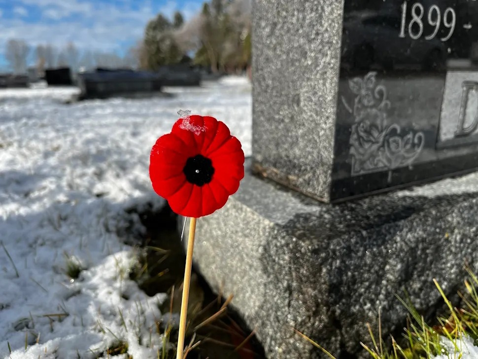 What is the significance behind the poppy? - StrathmoreNow.com - Local ...