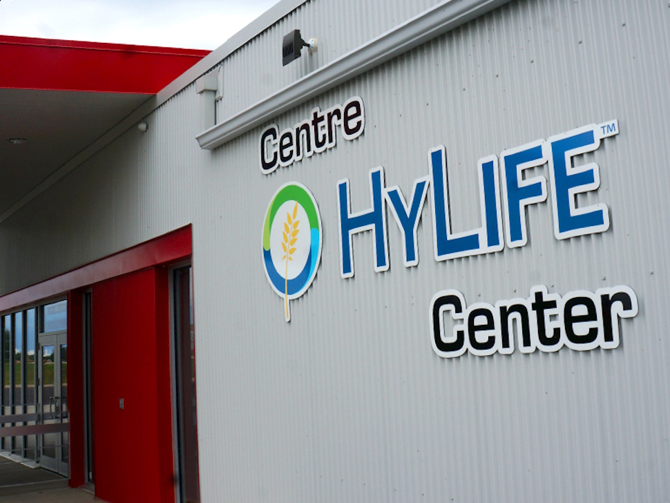 HyLife Centre staff swiftly repair ice following coolant line rupture ...