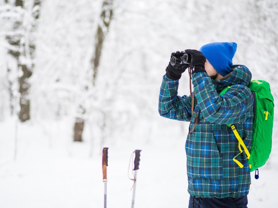 Nature Norm explores how wildlife survives extreme winter conditions ...