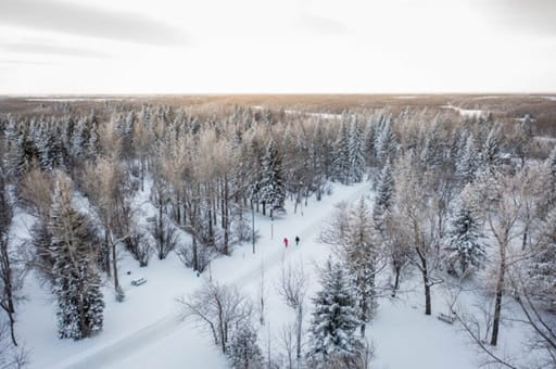 Blissful fun sparks in Sask. Parks this winter - DiscoverMooseJaw.com ...