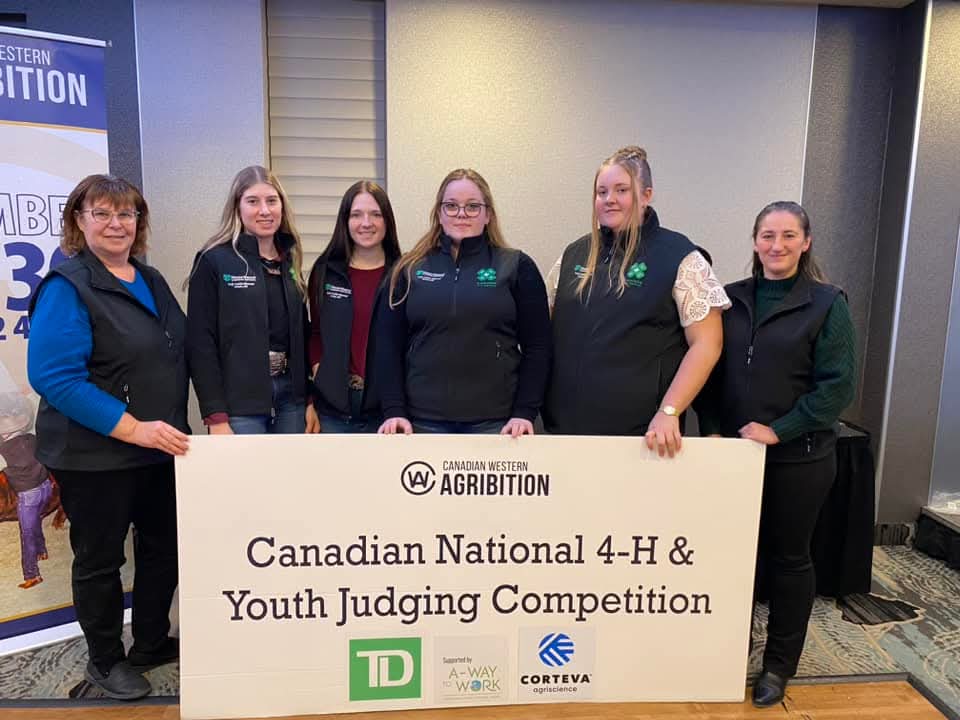 A Decade-Long Hiatus Ends with 4-H Manitoba Judging Team's Strong ...