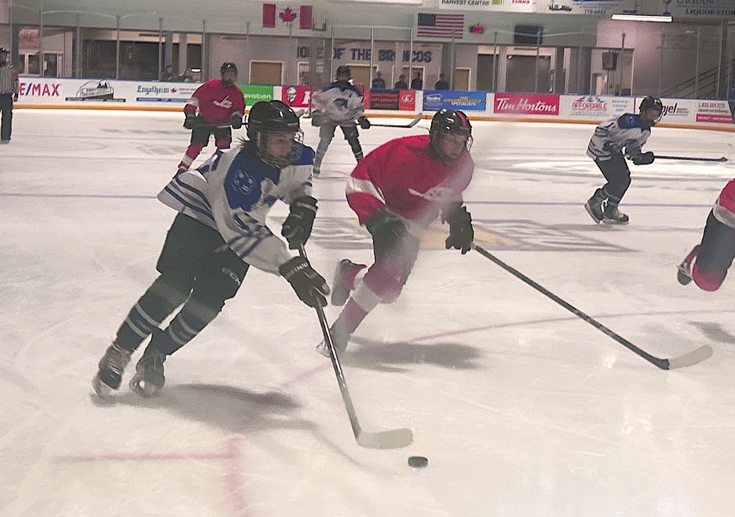 Giesbrecht and Gleim lead Swift Current Blades over Eastend ...