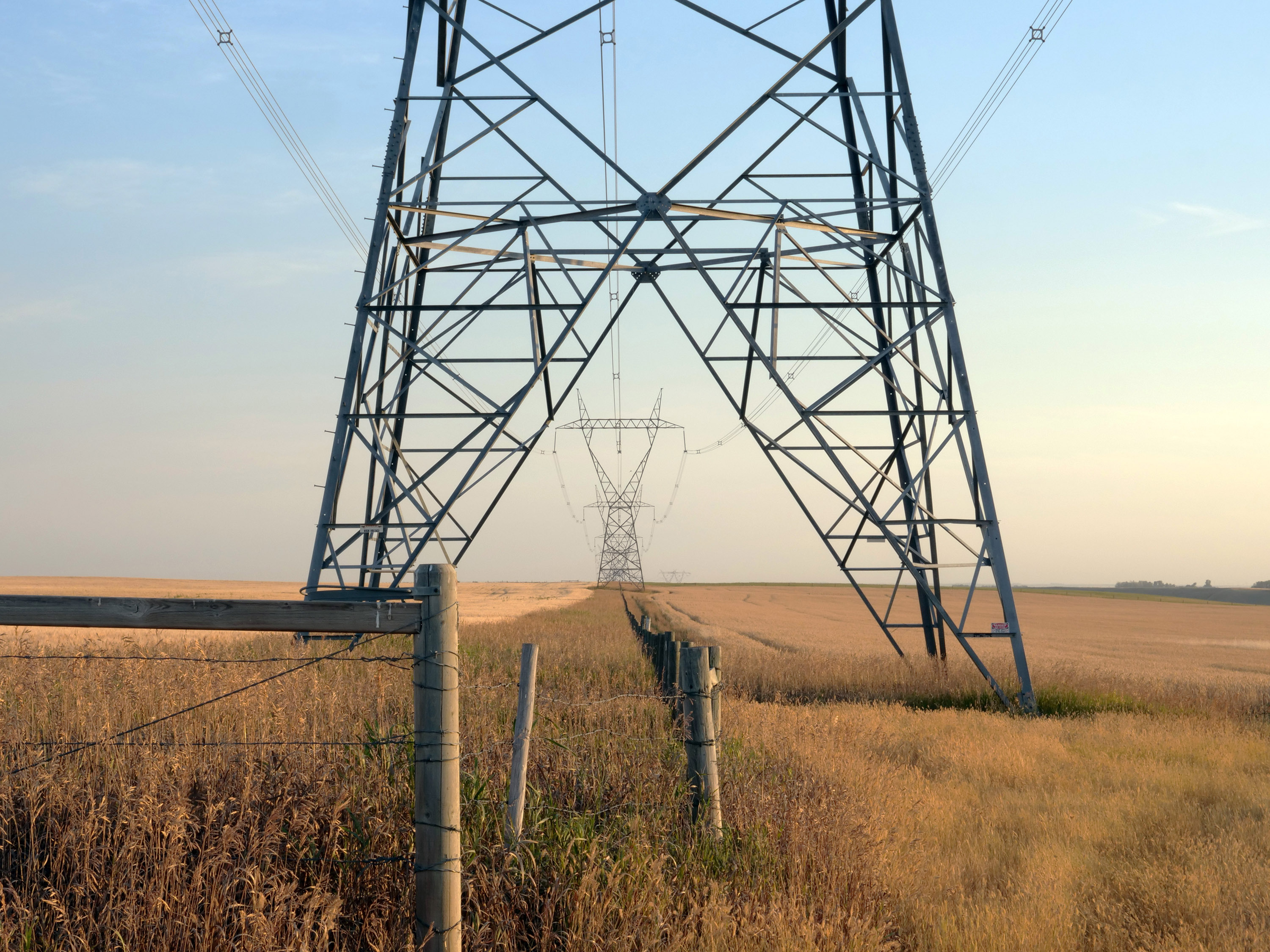 Province releases plans to reform power market in 2025 ...