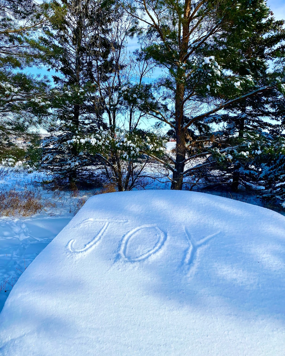 Mild weather, joy & cheer: photos of the week - DiscoverWeyburn.com ...