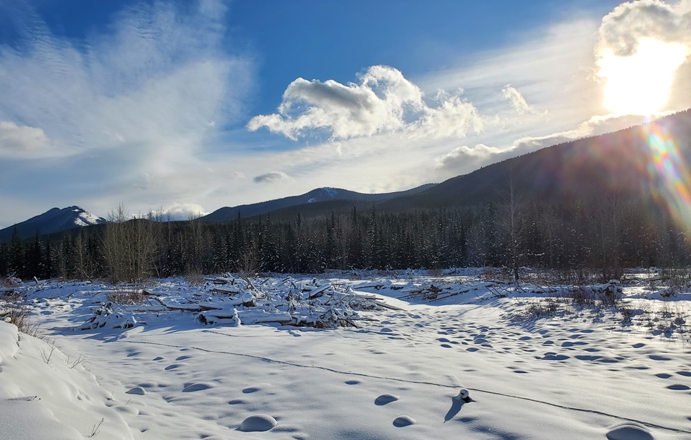 Chinook blows in warm weather tonight, and it should be mild for the ...