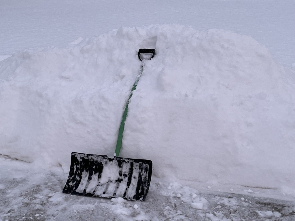 Rollercoaster weather in Moose Jaw this week - DiscoverMooseJaw.com ...