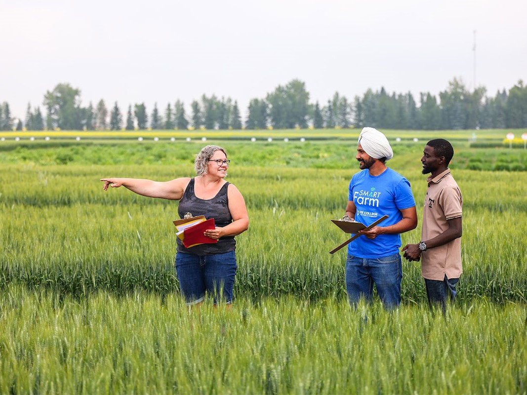 Olds College earns spot among research colleges nationwide ...