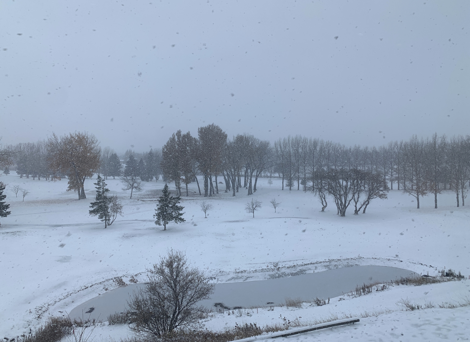 Snowfall warning issued for southwest - SwiftCurrentOnline.com - Local ...