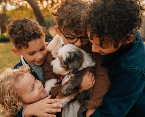 Tauren Wells and family welcome new additions to their crew - CHVNRadio ...