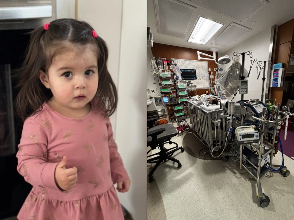 Family's 'world came crumbling down' as toddler diagnosed with cancer ...