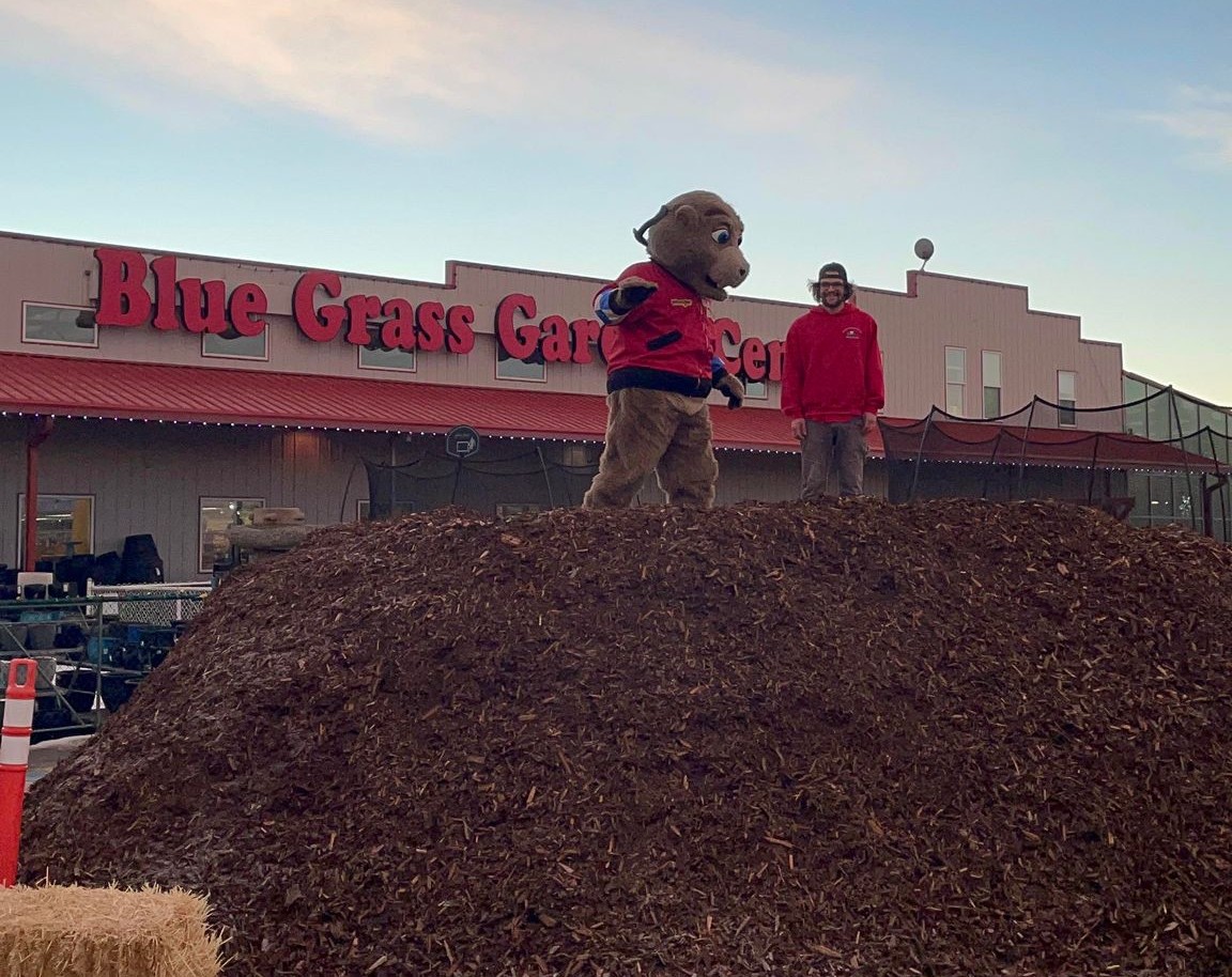 What will Balzac Billy predict? The big reveal happens Feb. 2 ...