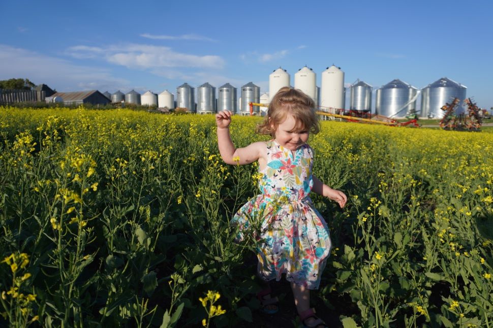 Co-ops of Westman and Provincial Ex unveil Future Farmers photo contest ...