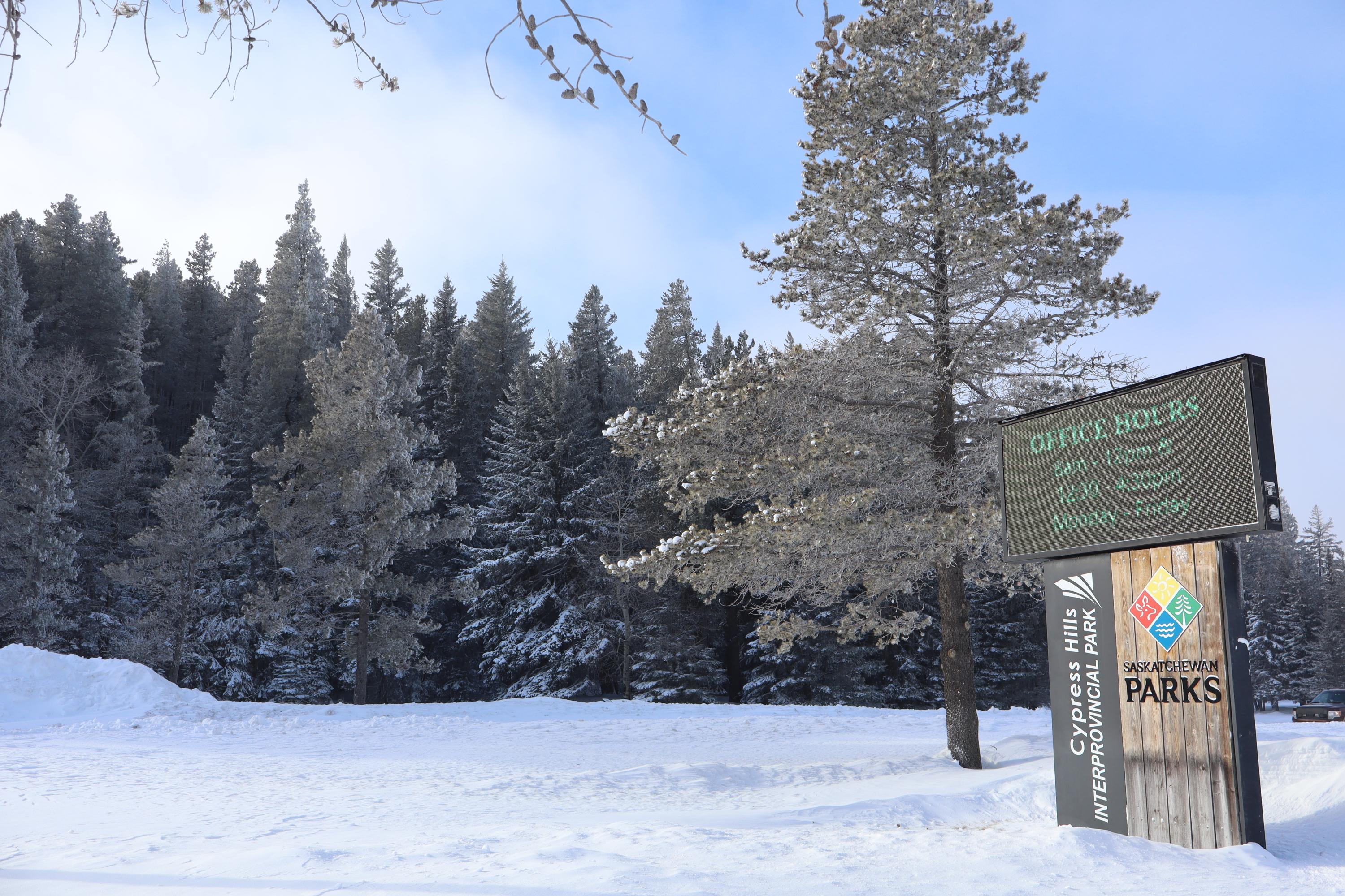 Local campers to make reservations at Sask. Parks - SwiftCurrentOnline ...