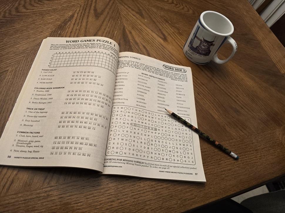 Exploring the benefits of puzzles on National Puzzle Day ...