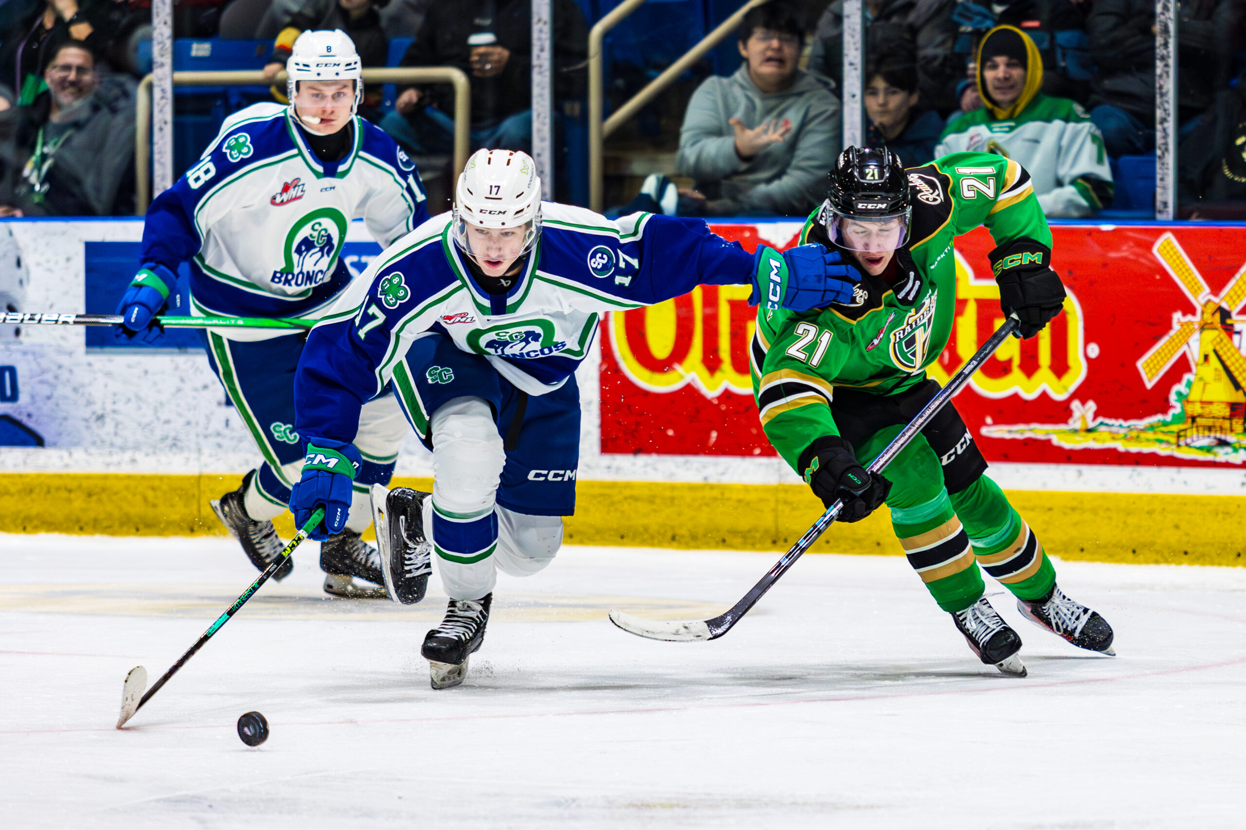 Raiders rout Broncos - SwiftCurrentOnline.com - Local news, Weather ...