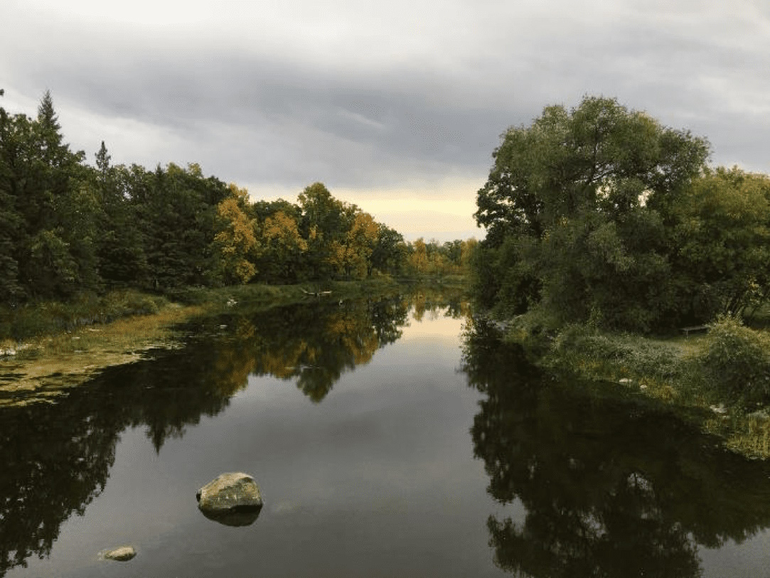"Natural infrastructure does the job," Listen to the latest Ripple ...
