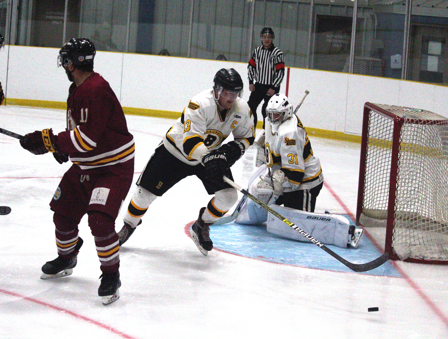 Bulldogs down Badgers in season finale - SwiftCurrentOnline.com - Local ...