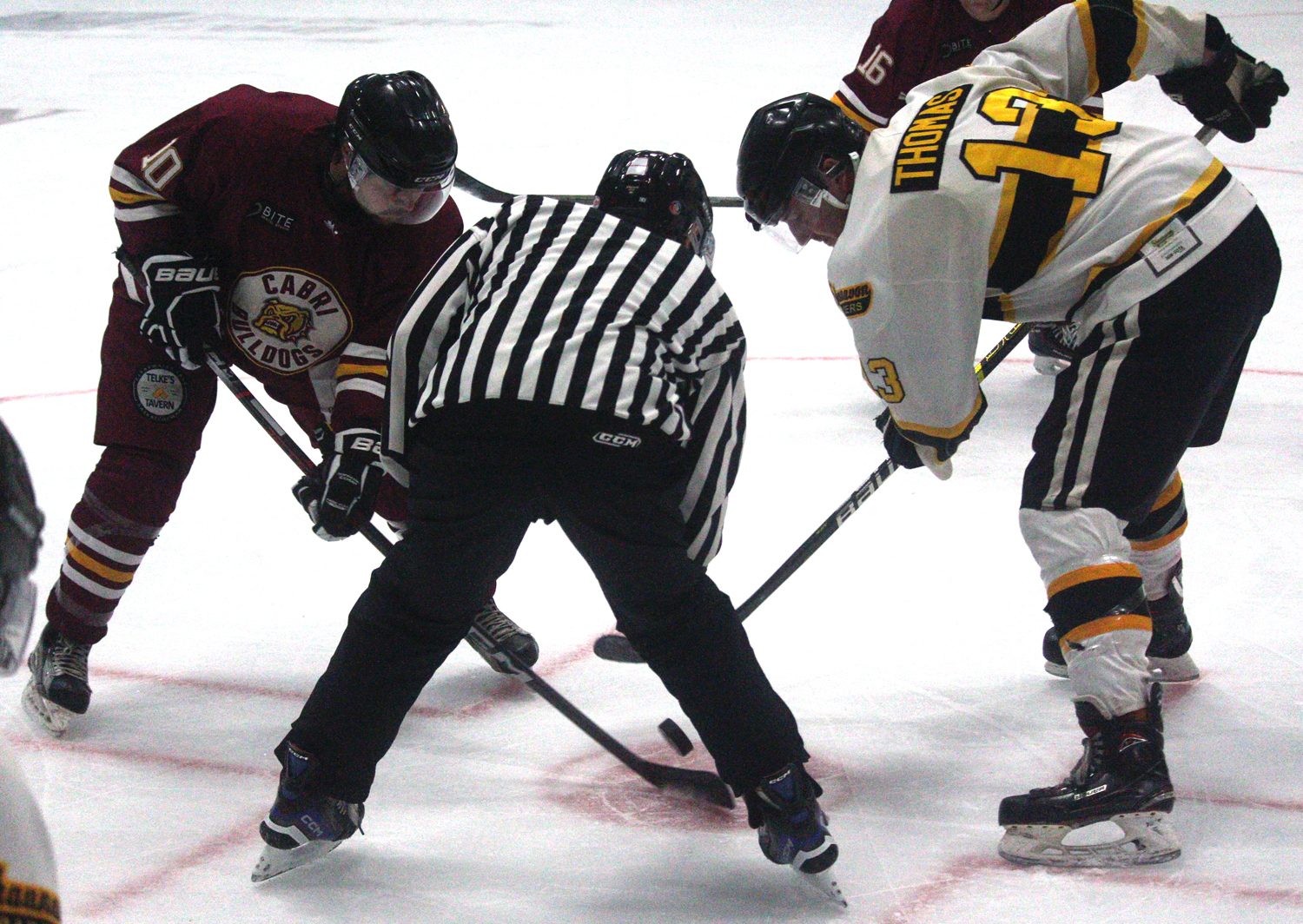 Whitemud Hockey League's playoffs are set - SwiftCurrentOnline.com ...