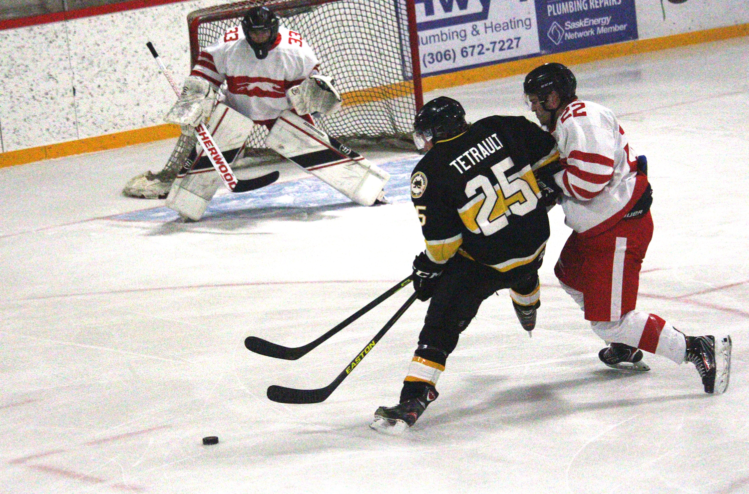 Whitemud Hockey League regular season concludes tonight ...