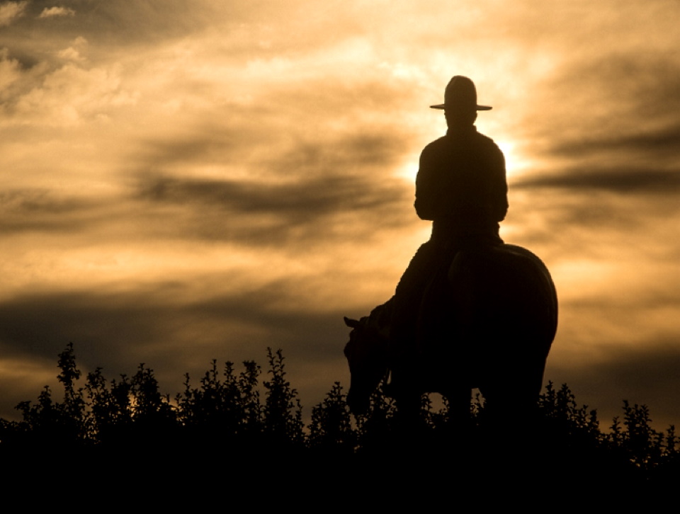 Cochrane tax deadline looms December 31 - CochraneNow: Cochrane ...