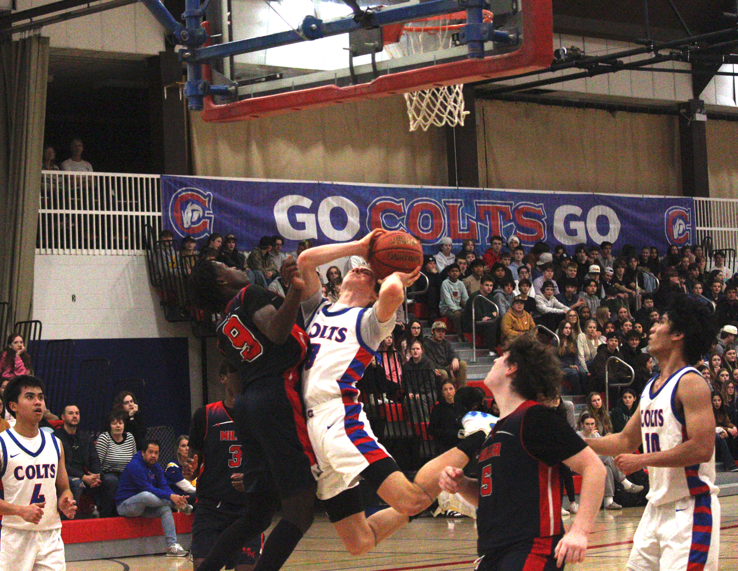 Colts basketball on Local Sports Live tonight - SwiftCurrentOnline.com ...