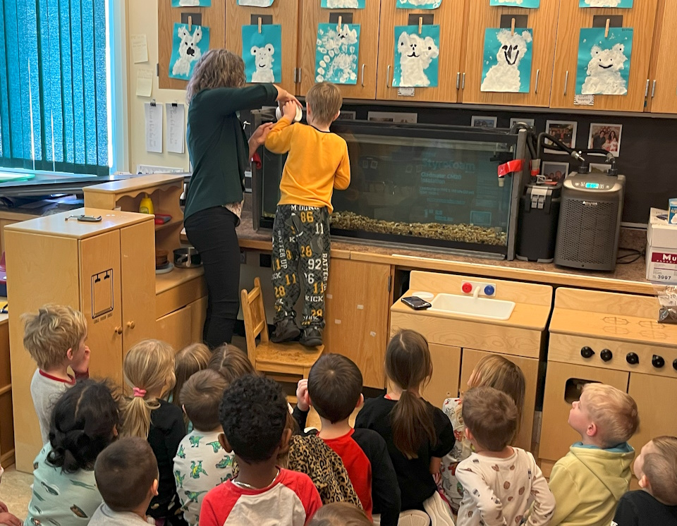 'An investment for the kids': program sponsor shares on joy of Fish in ...