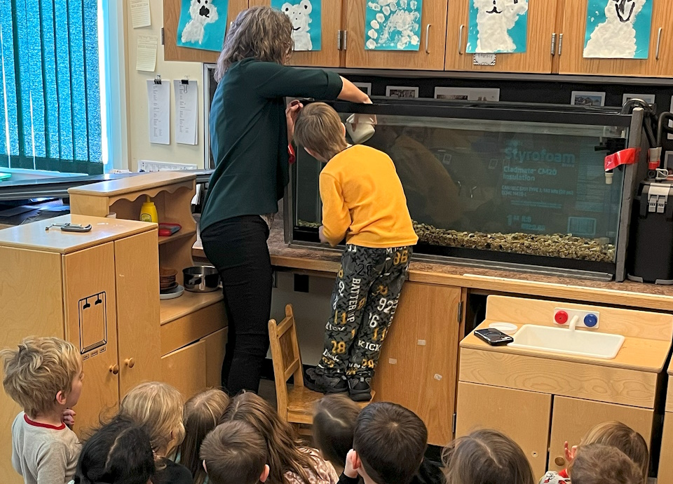 'An investment for the kids': program sponsor shares on joy of Fish in ...