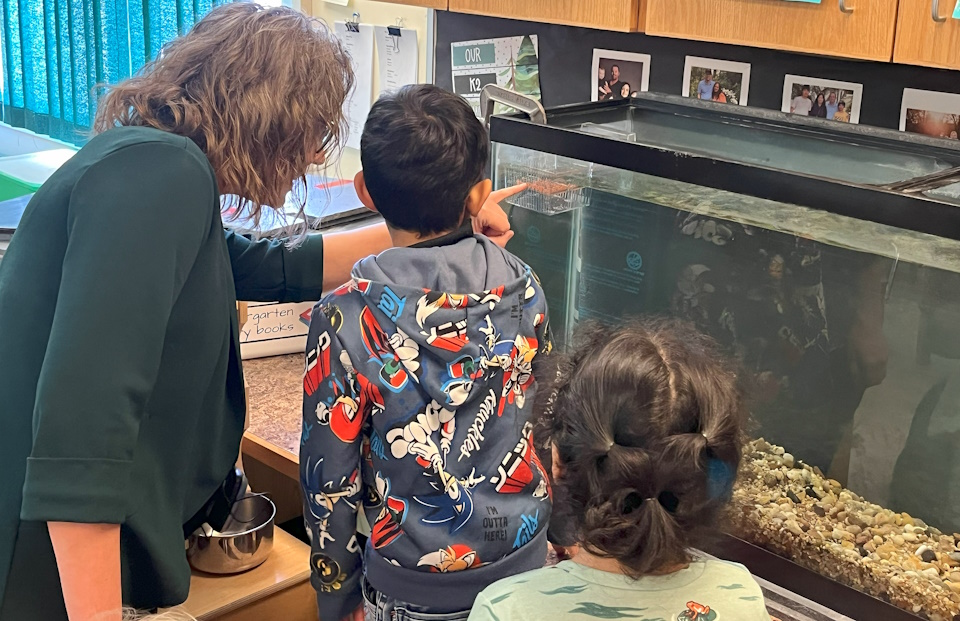 'An investment for the kids': program sponsor shares on joy of Fish in ...