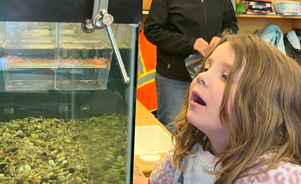 'An investment for the kids': program sponsor shares on joy of Fish in ...