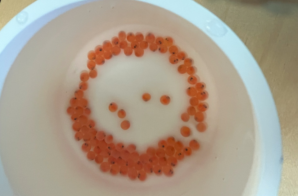 'An investment for the kids': program sponsor shares on joy of Fish in ...